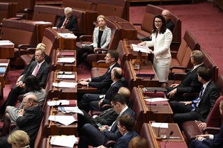 About Senator Jane Hume | Minister for Superannuation
